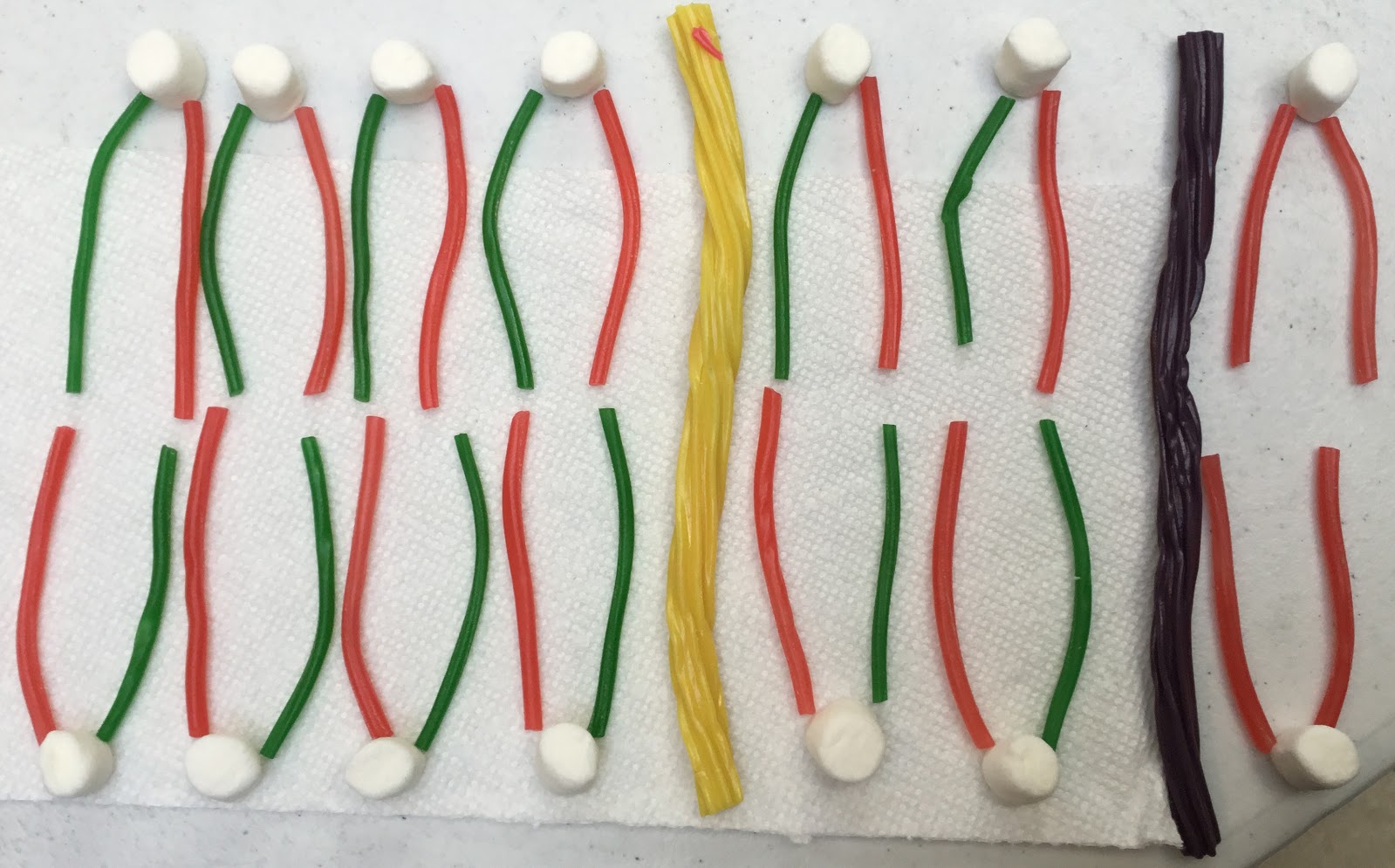 Biology by the Math Mom: 2016