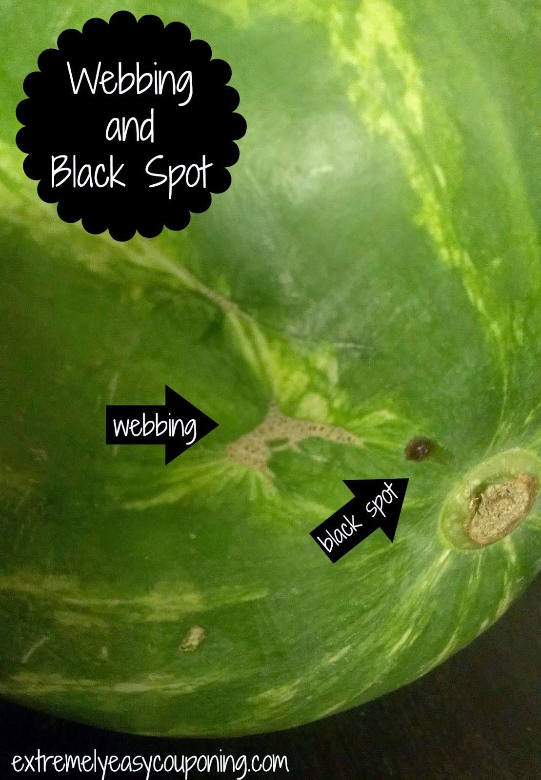 Extremely Easy Couponing: How to Choose the 'Perfect Watermelon'