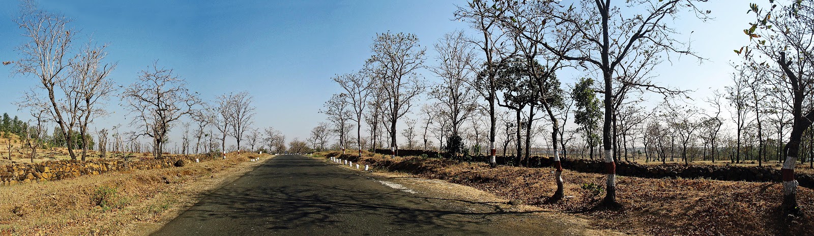 Stock Pictures: Nature headers - hilly landscape and a country road