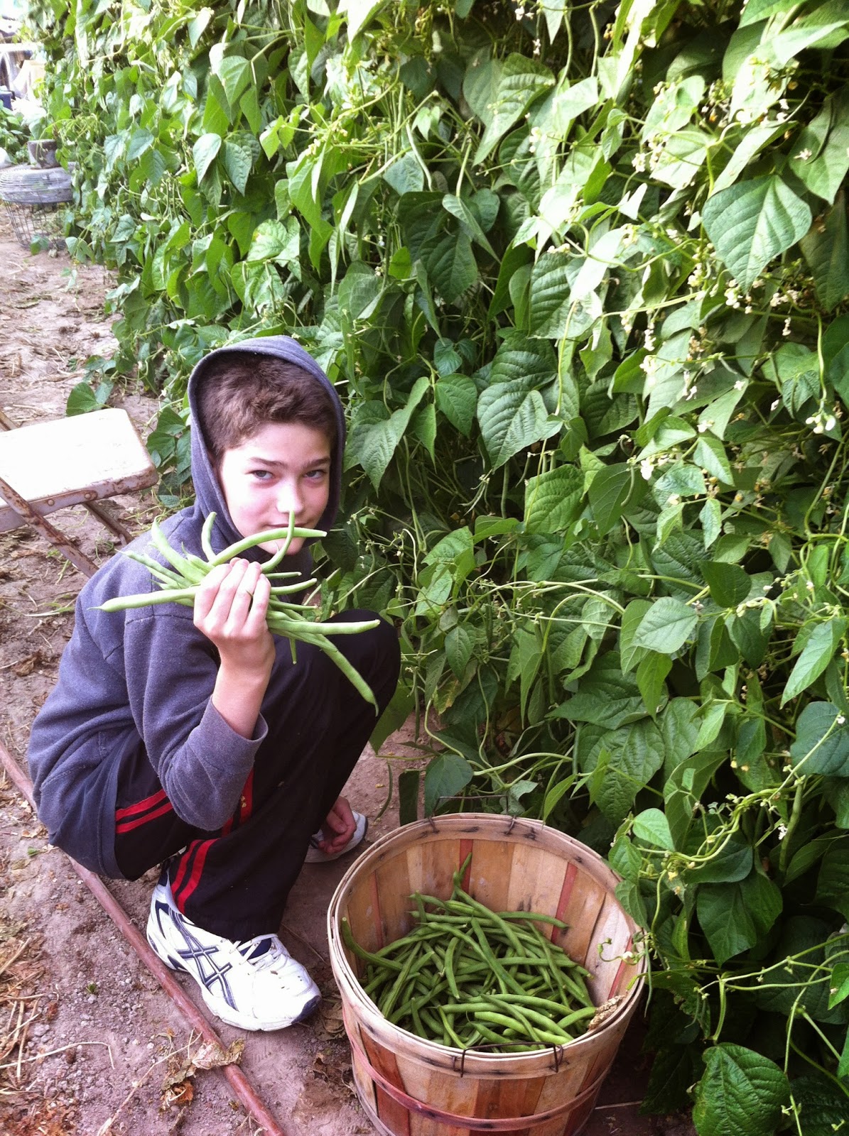 Swore Farms CSA Blog