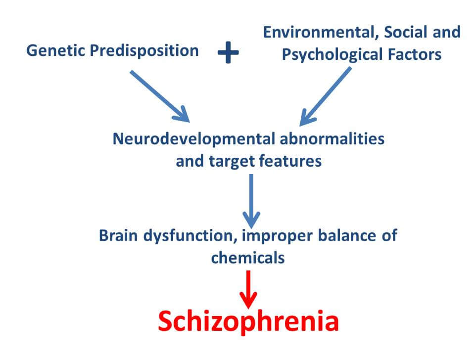 Review on Schizophrenia [Pharmacy Project] - Free Final Year Project's
