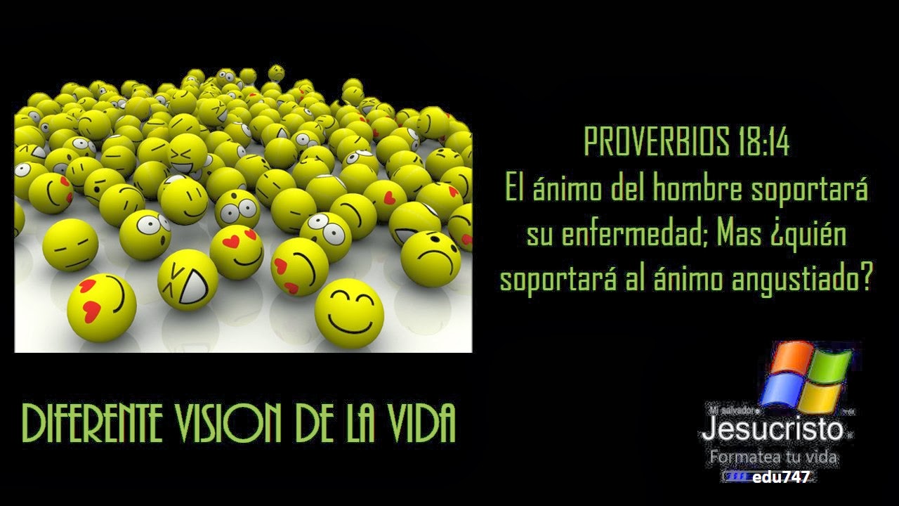 desde mi corazon: DIFERENTE VISION DE LA VIDA