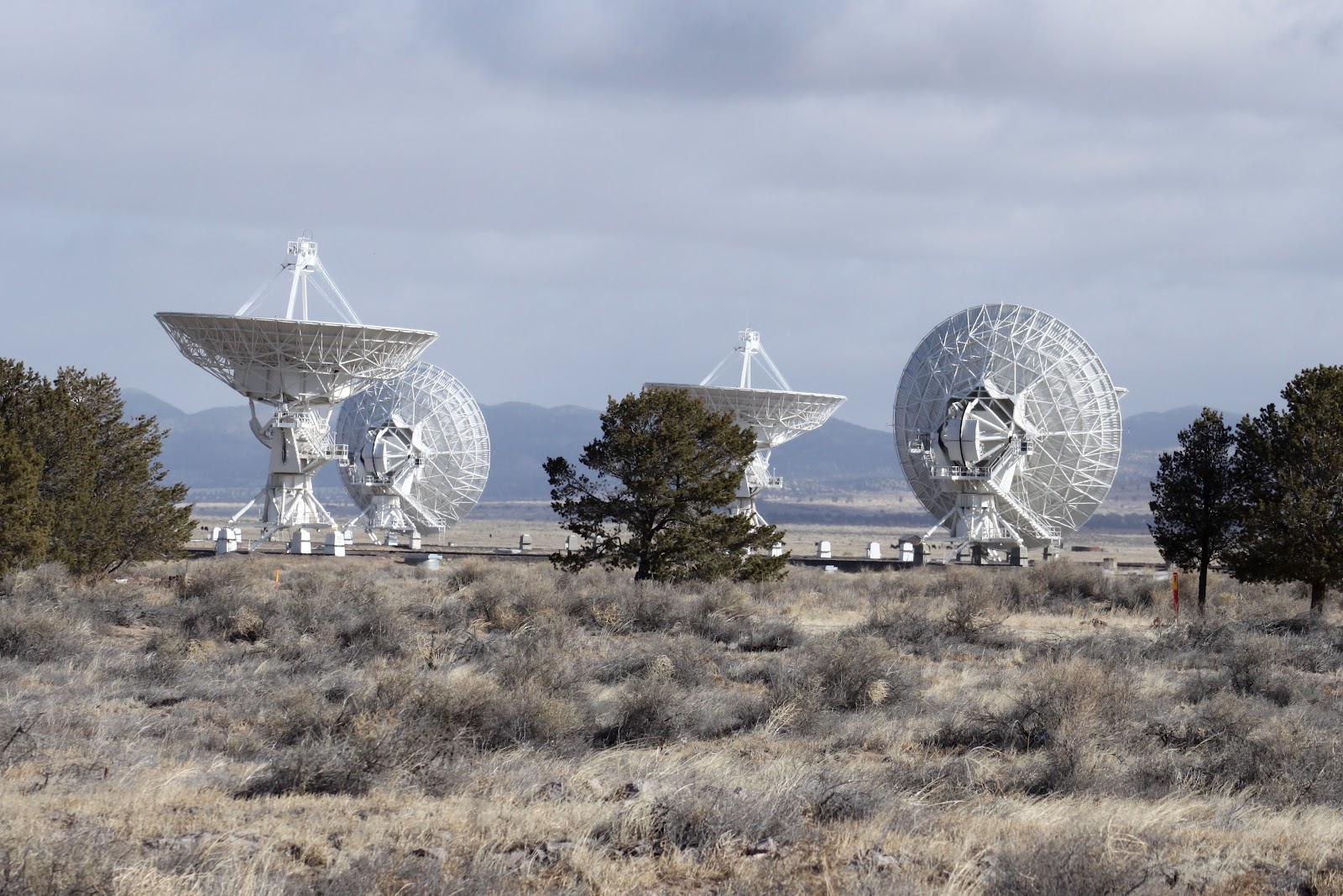 Still Life With Birder: The Very Large Array