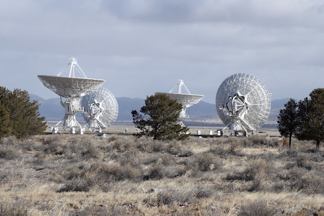 Still Life With Birder: The Very Large Array