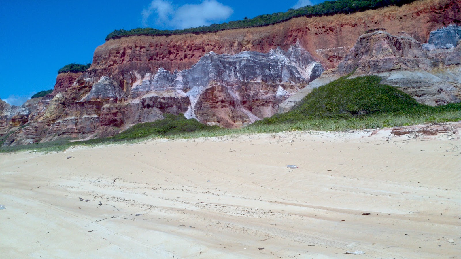Férias no Nordeste: Maceió - Falésias do Gunga