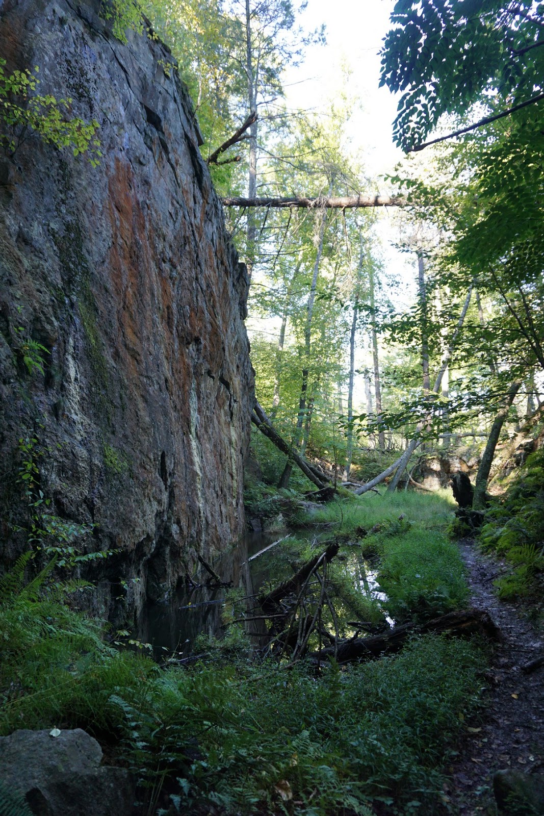 Harriman Hiker: Harriman State Park and Beyond: Pine Swamp Mine Loop