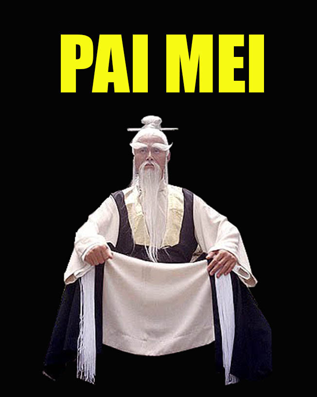 Figurino 13: Figurino Kill Bill