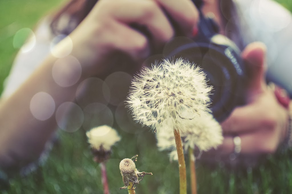 School Of Digital Photography: What is Bokeh in Photography?