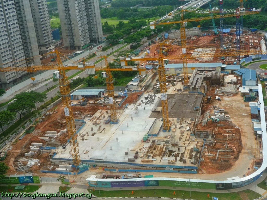 Zai@Sengkang: Lush Acres (Year 2014 Week 25)