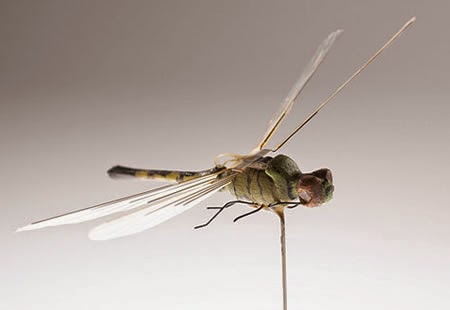 Thursday's Robots: ‘BOTS: The Insectothopter – The First Miniature ...
