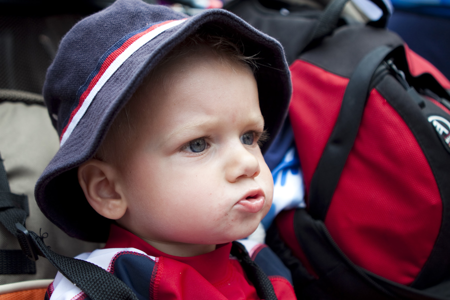 Elmo Rocks. . . - Maple & Hen Resources Blog