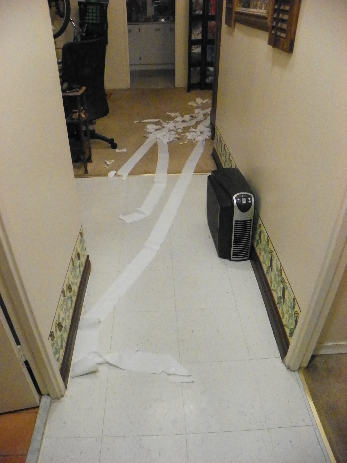 Extraordinary Elsie: The Eskie-poo Pup