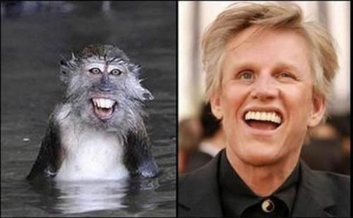 Funny Funny Pictures: Funny Photo Morphing