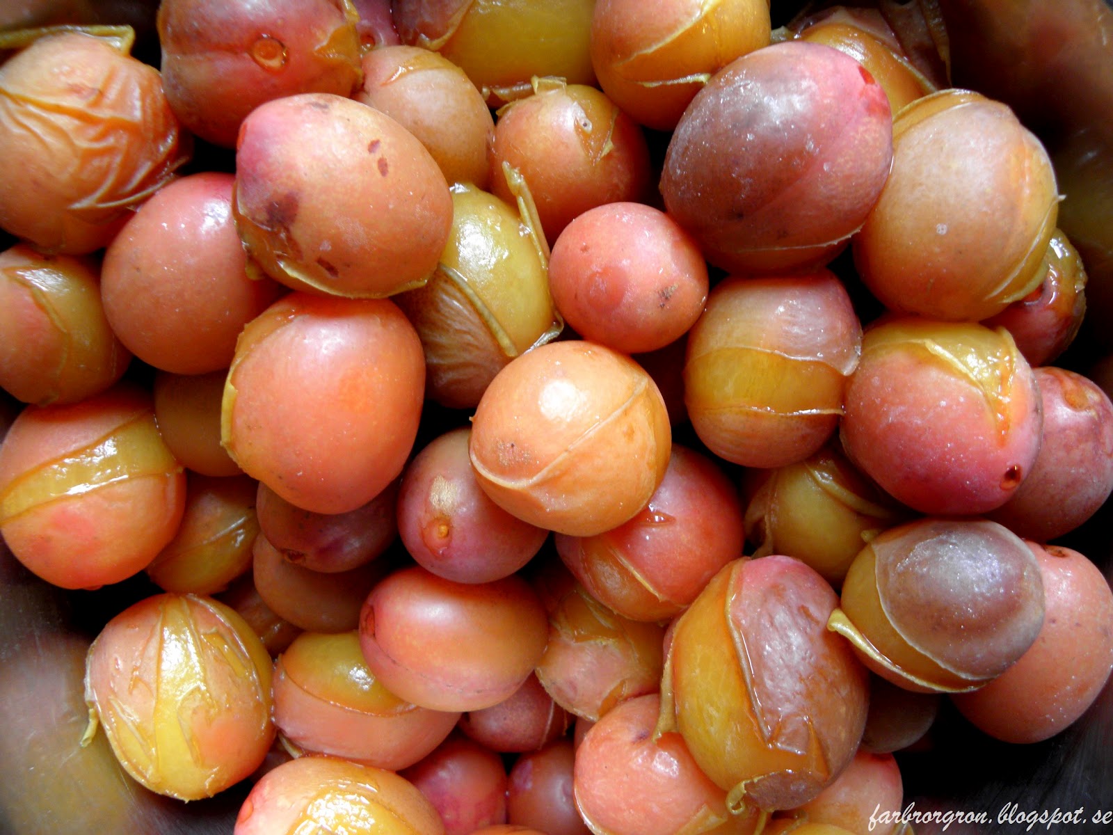 Farbror Grön: Plommonsylt