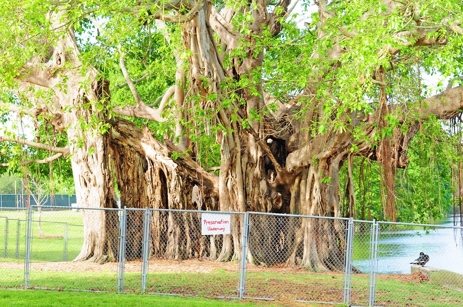 Crescent Lake (Florida) - Crescent Lake Fishing