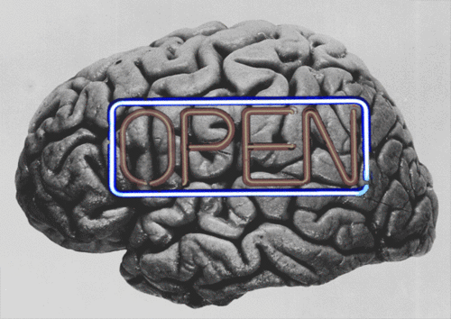 OPEN MIND