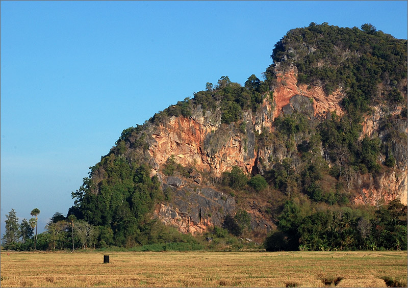 KODIANG AGRARIAN EXPO 2012: About the location