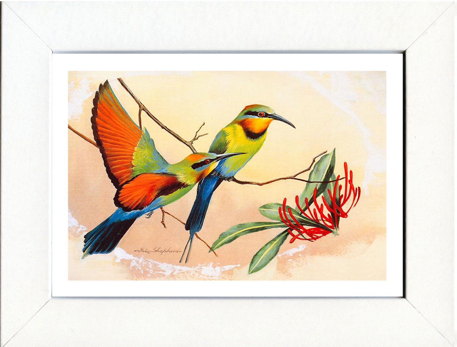 jjjewel.resimlerim: PAPAĞAN TEMALI RESİMLER