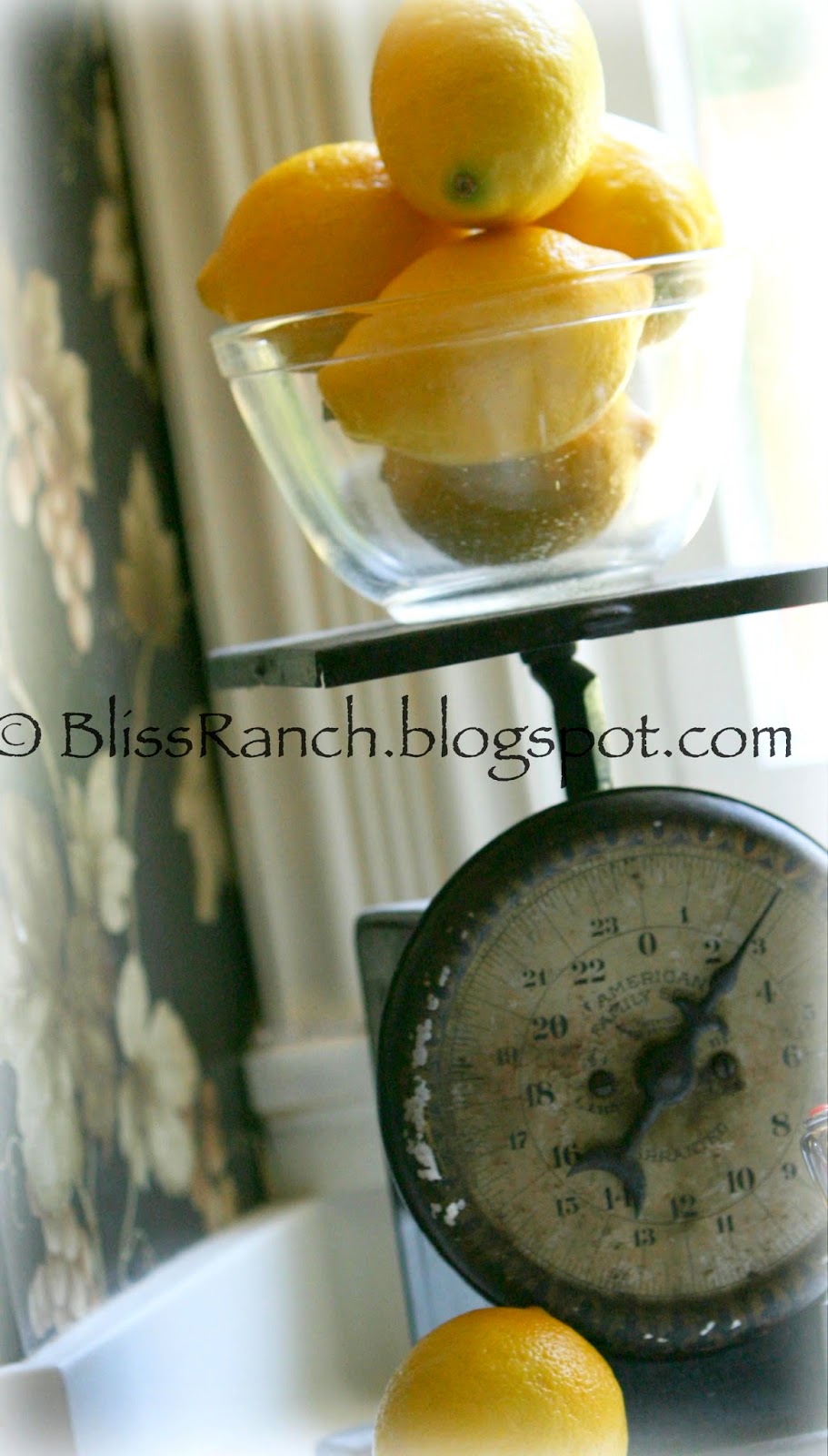 Bliss Ranch: How I Found My Style Sundays