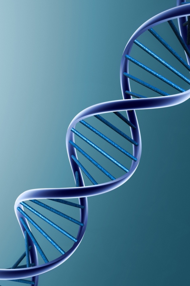 Mobile Wallpaper: Adn 3d Iphone 4 Wallpaper