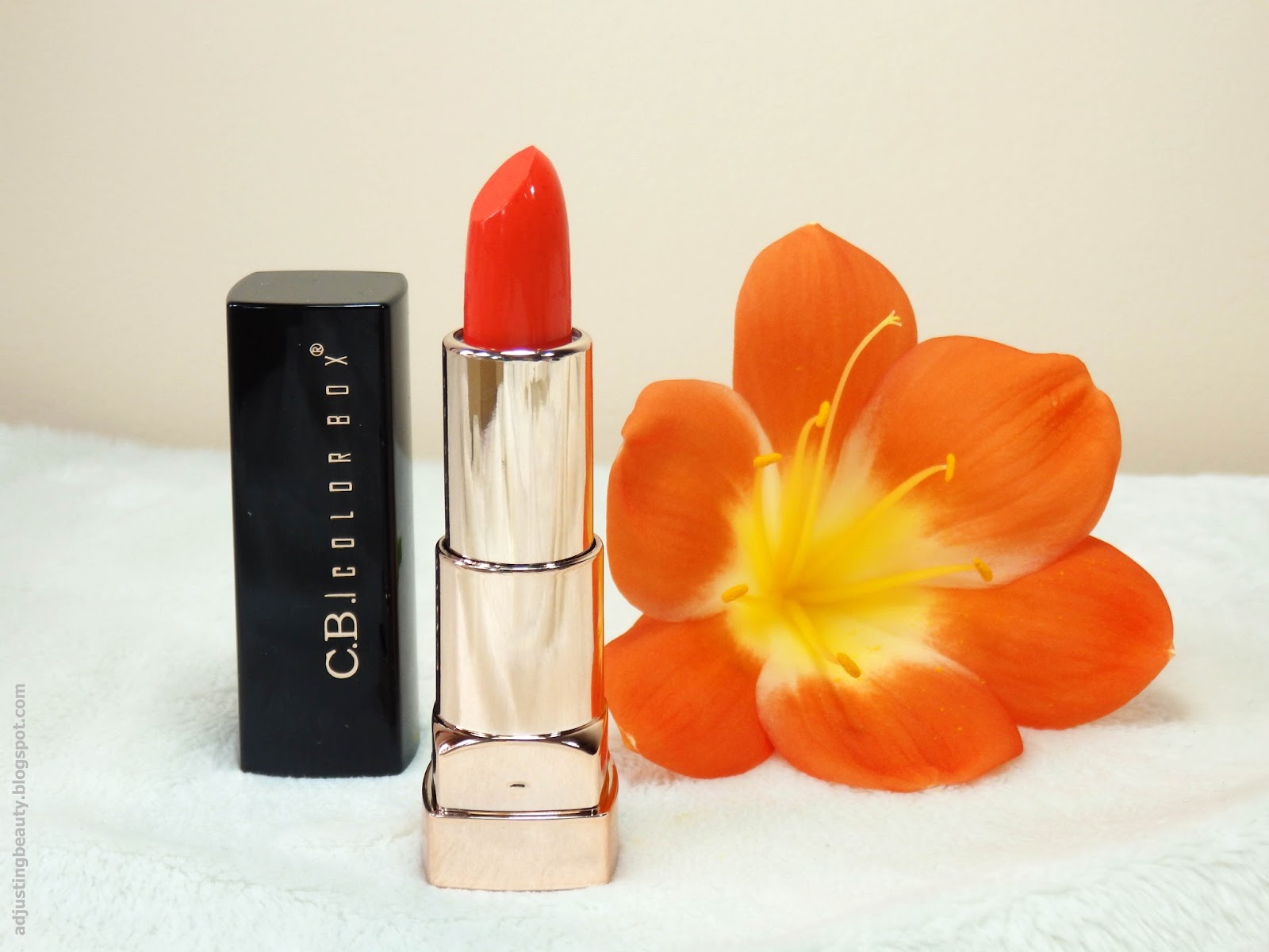 Review: CBI Color Box Lasting 24 Hours a Day Colorstay Lipstick (06 ...