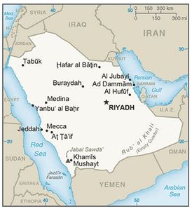 Avian Flu Diary: WHO Update On Saudi MERS Clusters In Riyadh