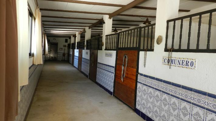 DISEÑO DE ESTABLOS PARA CABALLOS (PARTE 2)