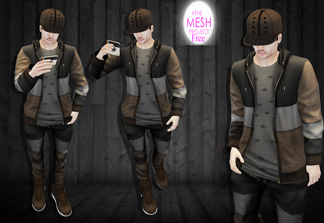 #017 - The Mesh Project Free