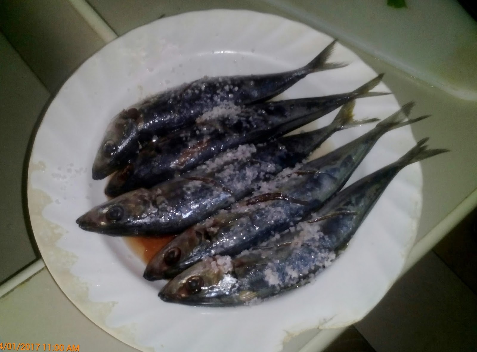 BUILDER'S JOURNAL: TILE INSTALLATION: CONCRETE DRY PACK METHOD