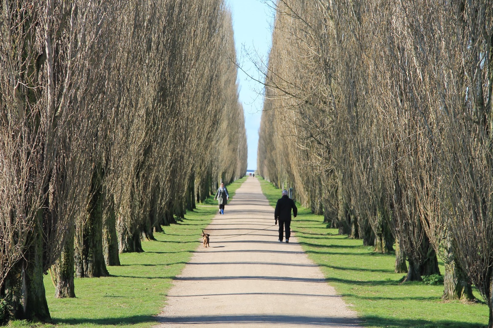Vandringsløse Tidende: Sydhavnstippen
