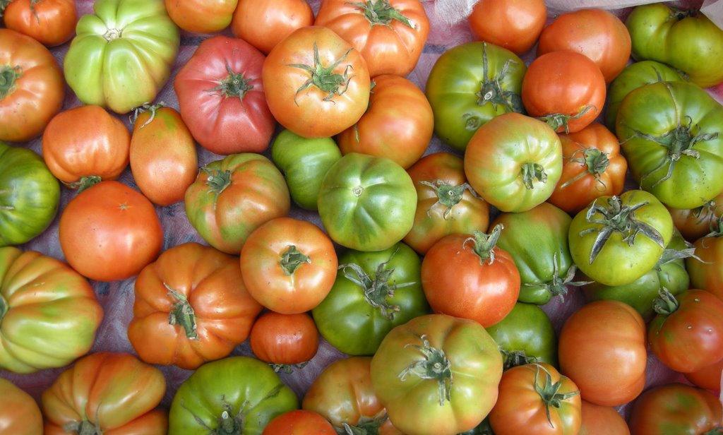 Caoba Farms - Organic Farming in Antigua Guatemala: Our Products