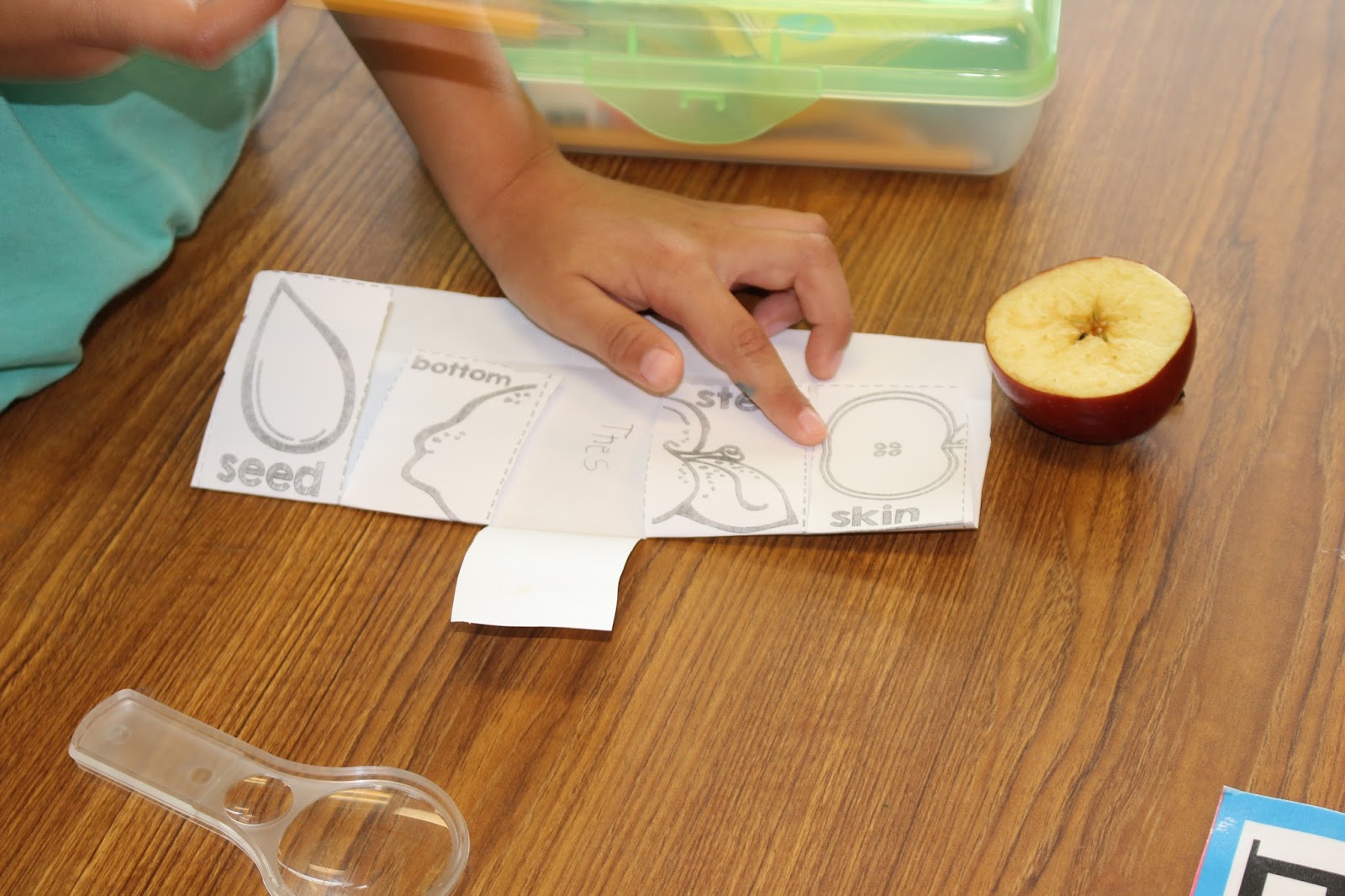 Hands-On Science! - Tunstall's Teaching