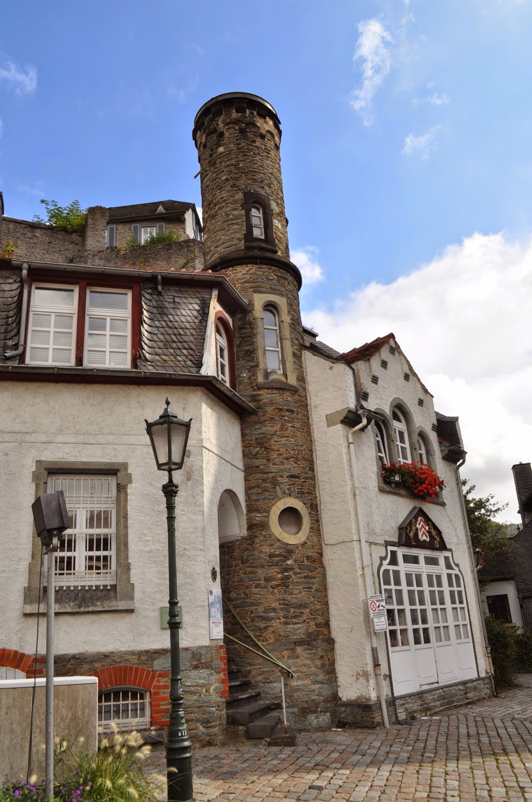 Teacher, Traveler & a Rhodesian Ridgeback: Train to Eppstein