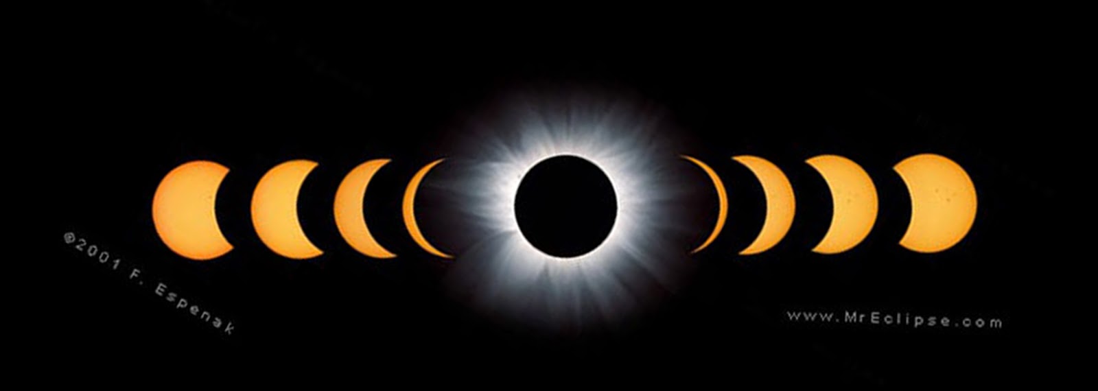 A school of fish: Sun and Eclipse Unit Study