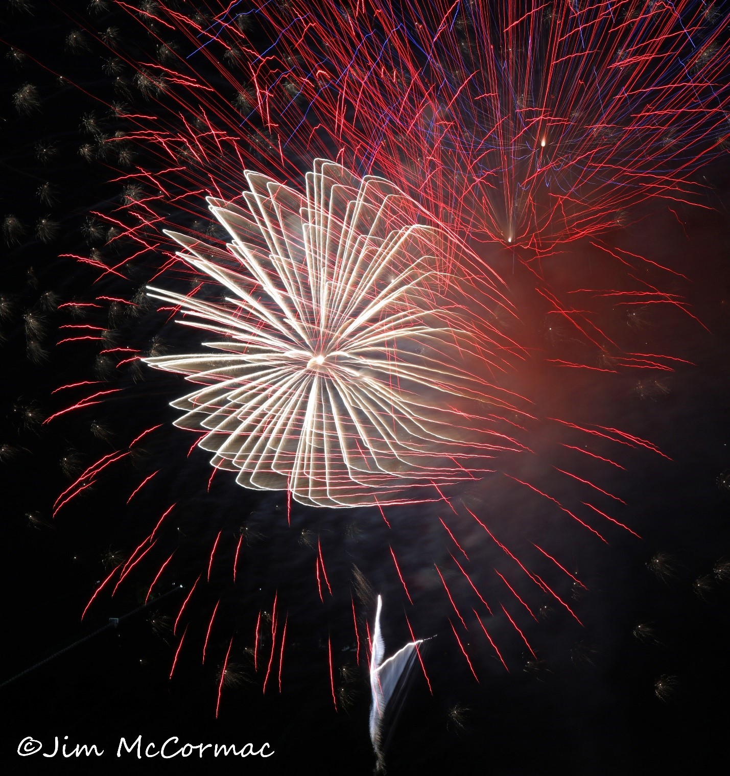 Ohio Birds and Biodiversity: Fireworks as Art