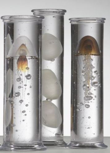 bensozia: Steffen Dam's Glass Menagerie