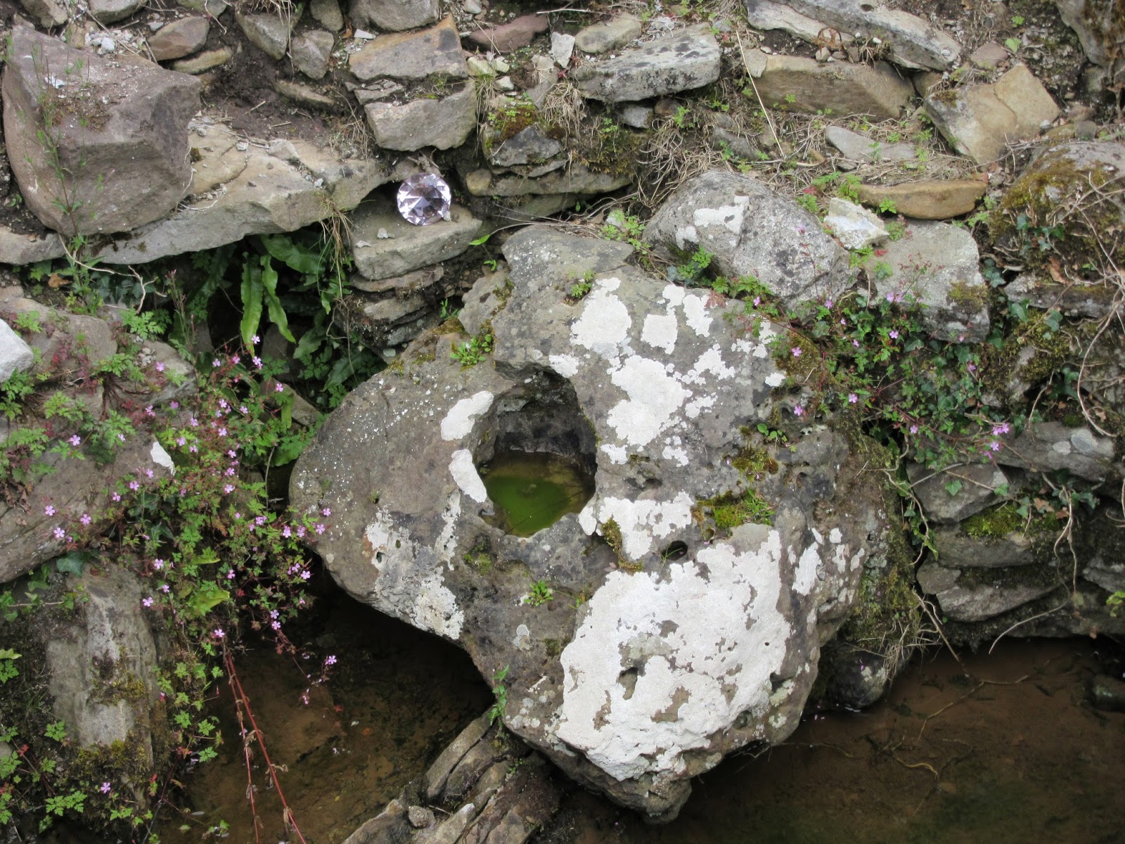 Rónán Gearóid Ó Domhnaill: Saint Attracta's Well, Roscommon
