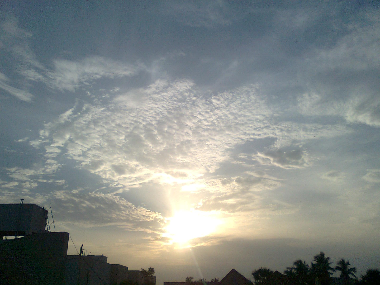 early morning sunshine