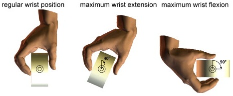Tom's Physiotherapy Blog: Finger and Hand Anatomy, and Grip