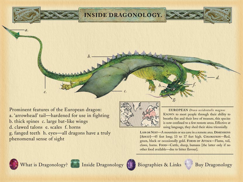 Dragon Sightings