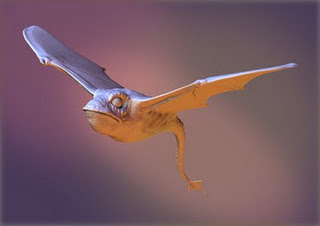 Mythological Beasties and Co.: Llamhigyn Y Dwr or Water Leaper