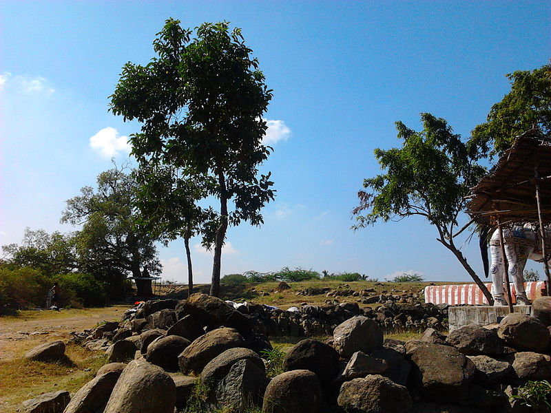 Tamilnadu Tourism: Selliyamman Temple, Perumathur, Perambalur