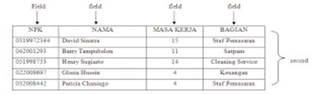 sistem basis data: Entitas Sistem Basis Data