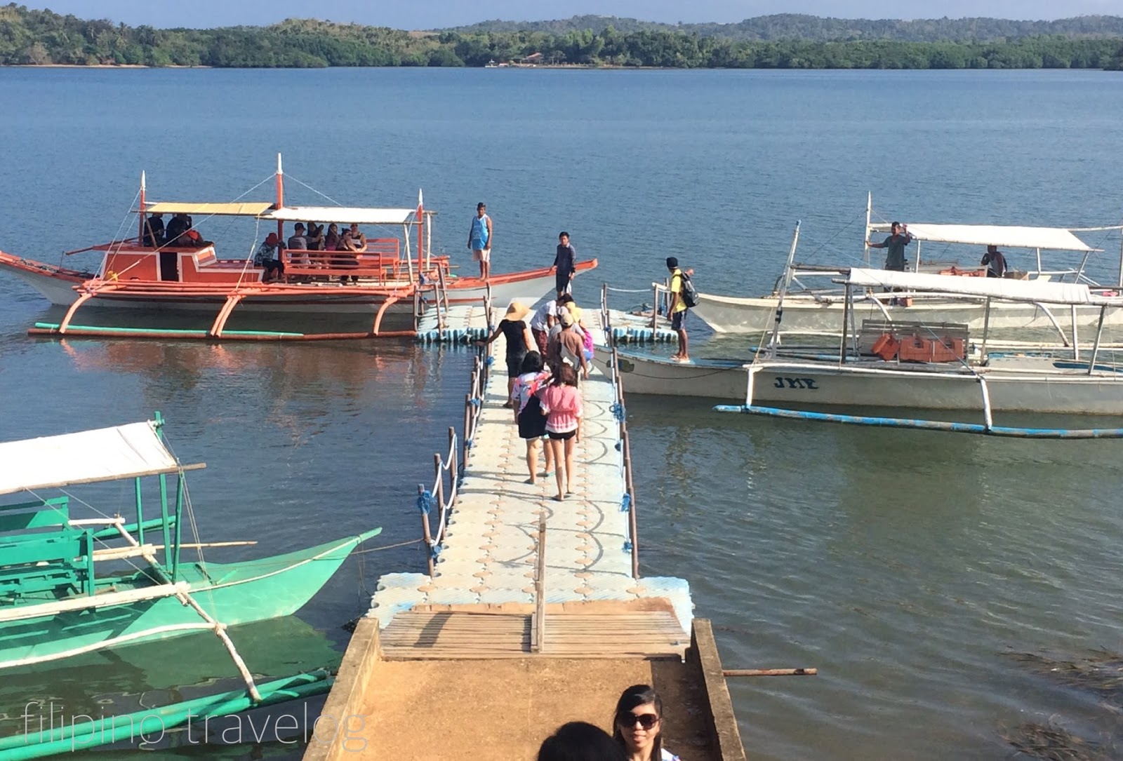 Filipino Travelog: CALAUIT SAFARI PARK TOUR