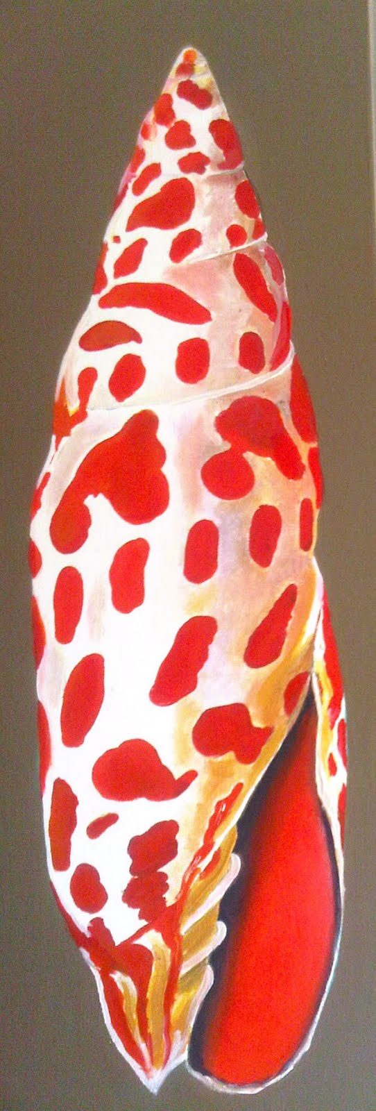 Paintings By Tracy Effinger Upton: Orange Miter Shell