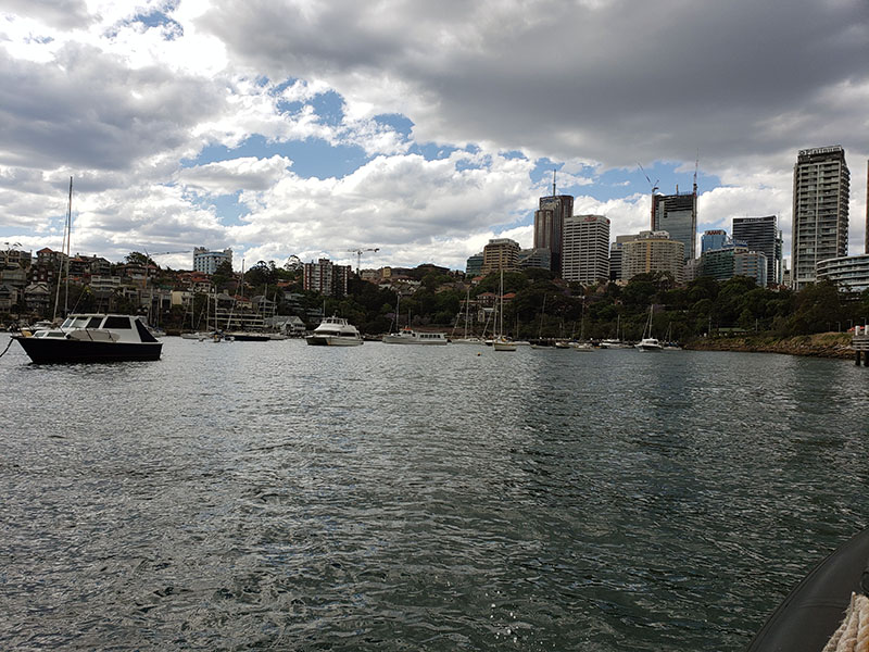 Mrs. Mik's Blog . . . A Day in the Life: Sydney Harbour