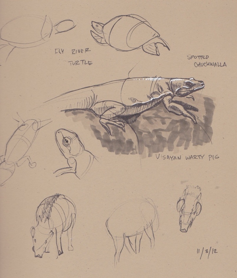 Gina Draws . . .: Dynamic Sketching Week 5 & 6