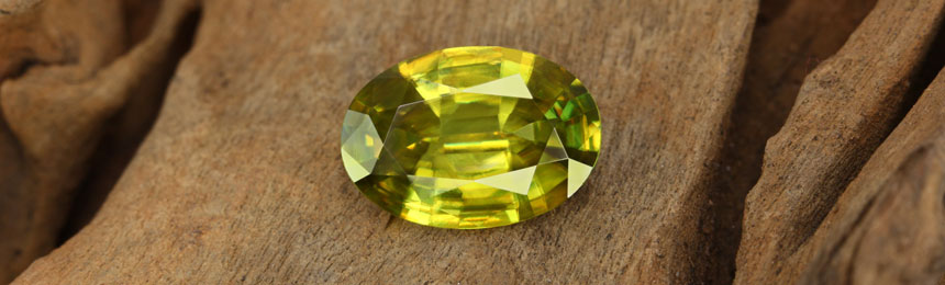 Correveidile: El secreto de las plantas, las piedras y los cristales ...