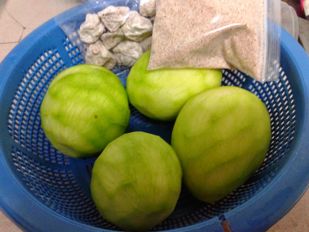 Jeruk Mempelam/Mangga Asam Boi | CeLoteh MJ