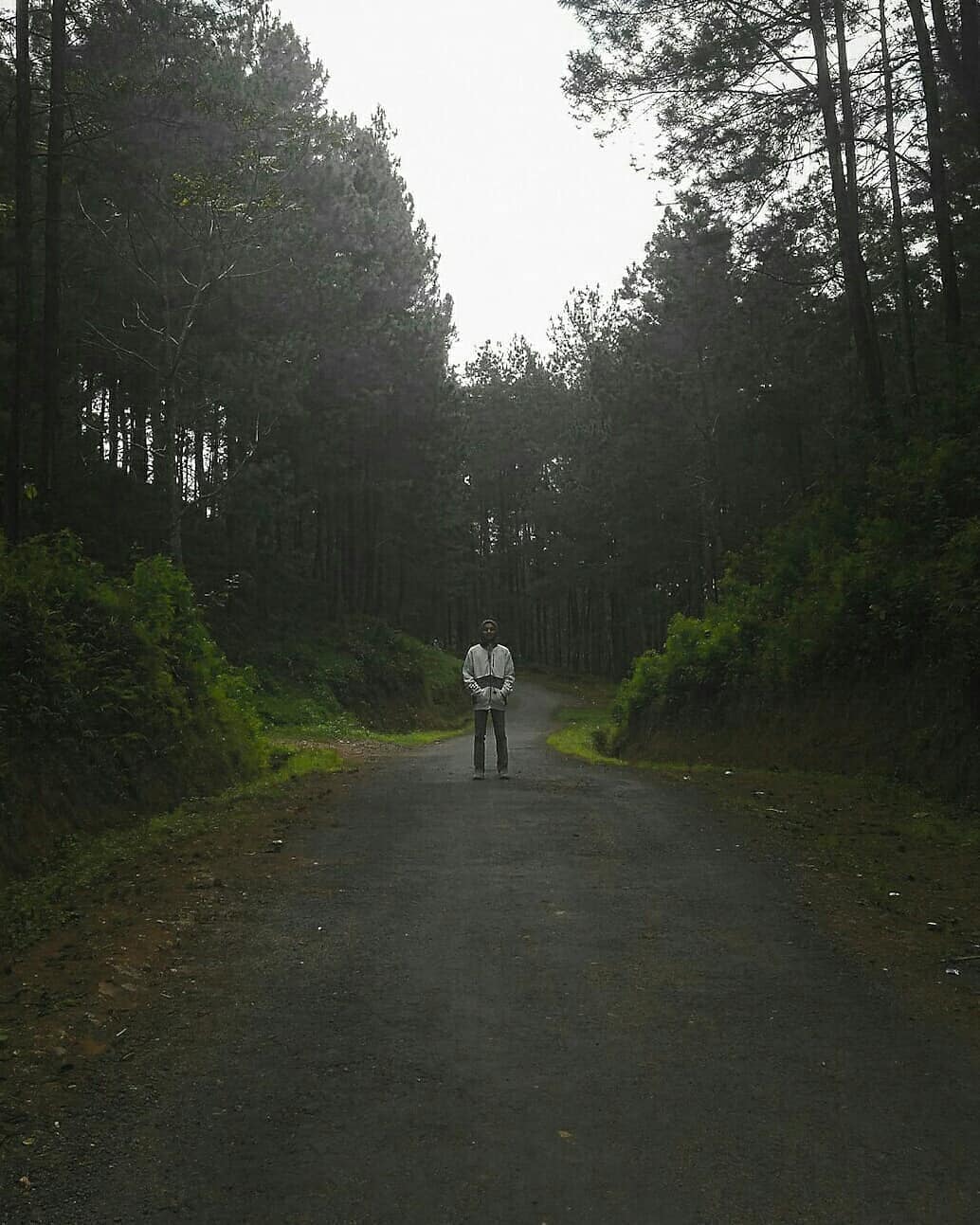Suasana di Hutan Pinus Bukit Gedogan Sodonghilir | Tasik Hits ...
